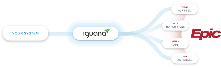 Epic EHR Integration: Flexible, Scalable Interfaces with Iguana